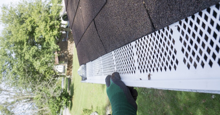 5 Tips for maintaining your gutters and downpipes