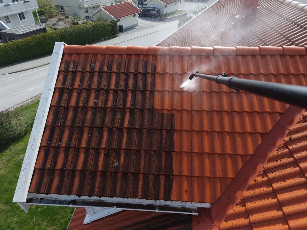How to Get Rid of Mould on Roof Cavity, Tiles & Ceiling